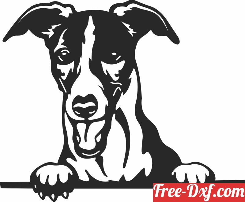 Download Jack Russell dog monogram sign 6OC7I High quality free D