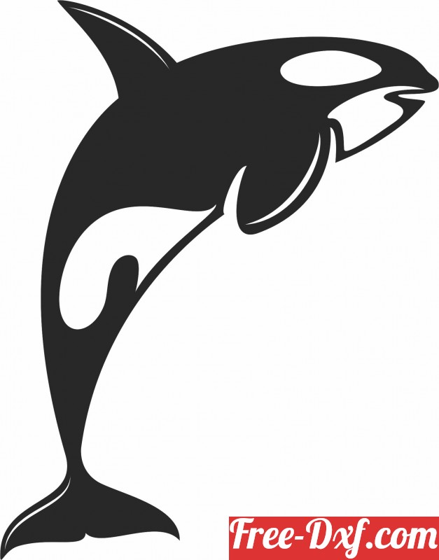 Download Orca wall design fish clipart HAltb High quality free Dx