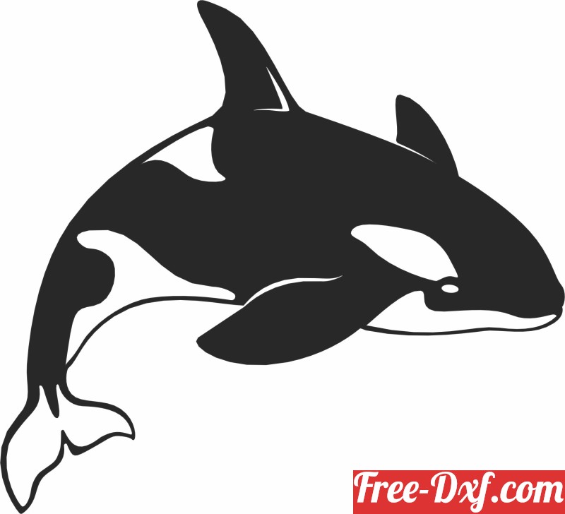 Download Killer whale wall art JsgIr High quality free Dxf files,