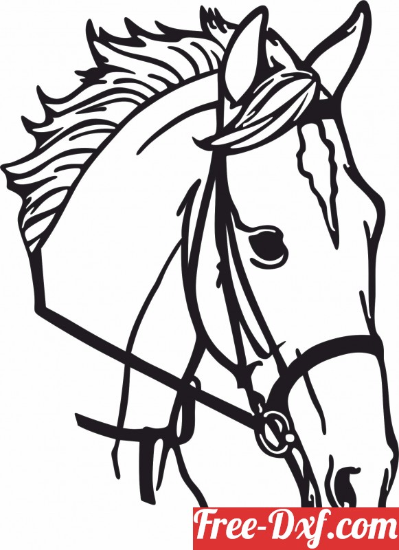 Download Horse face clipart LyNhk High quality free Dxf files, Sv