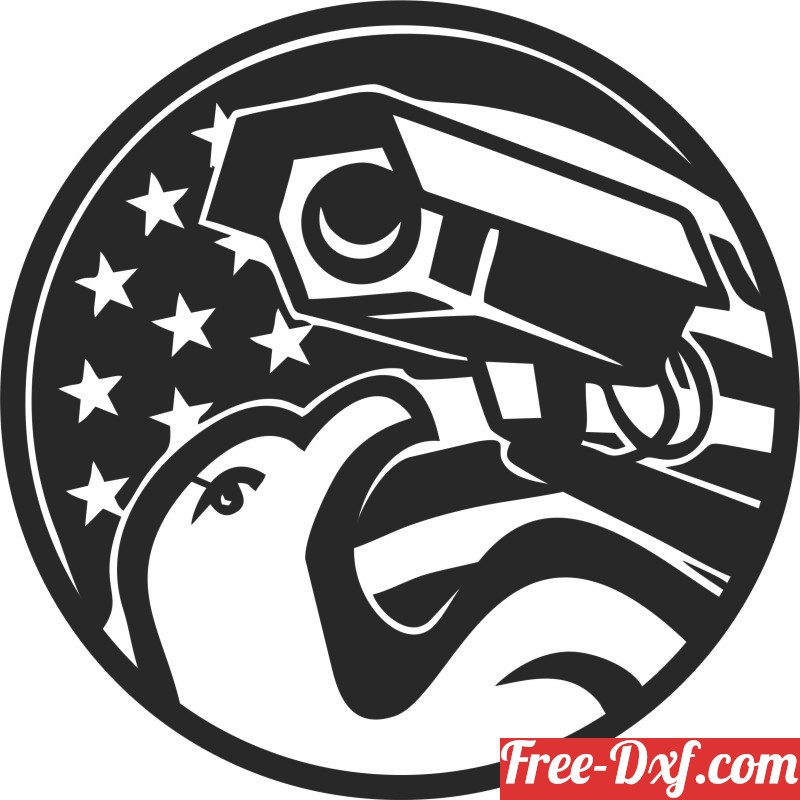 Download American Eagle and Security Camera USA Flag MURsb High q