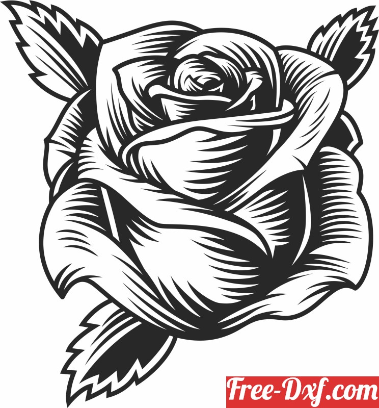 Download beautiful rose Oi60m High quality free Dxf files, Svg, C