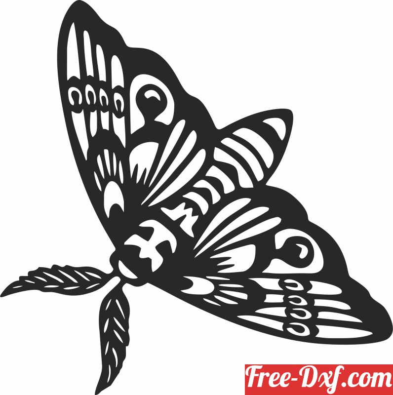 Download butterfly clipart Qqjpw High quality free Dxf files, Svg