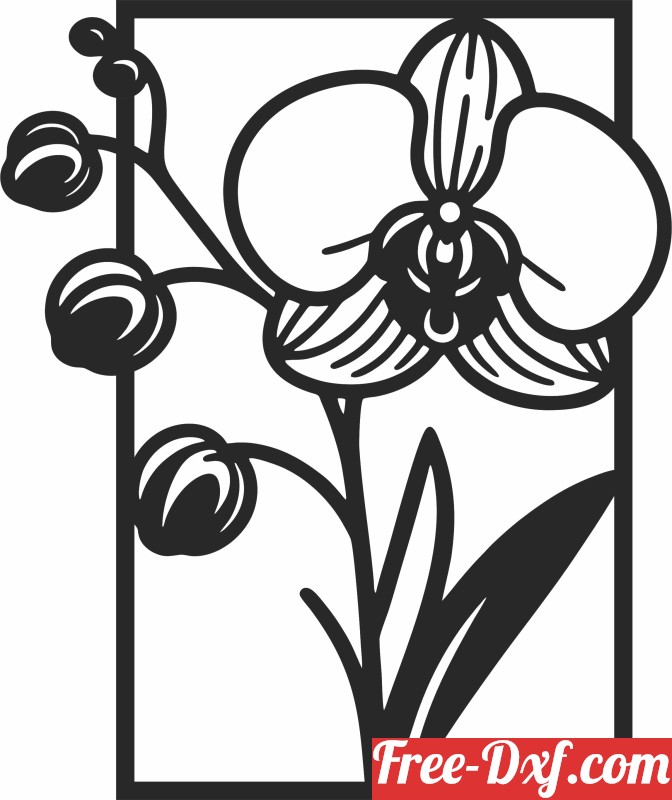 Download Orchid flower wall decor WqeTU High quality free Dxf fil