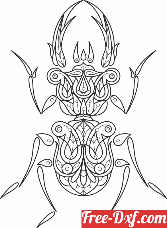 Download decorative beetle dxf dmZHU High quality free