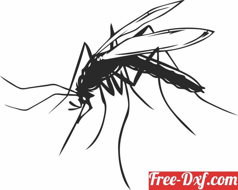 Download mosquito clipart insect h0KeX High quality free Dxf file