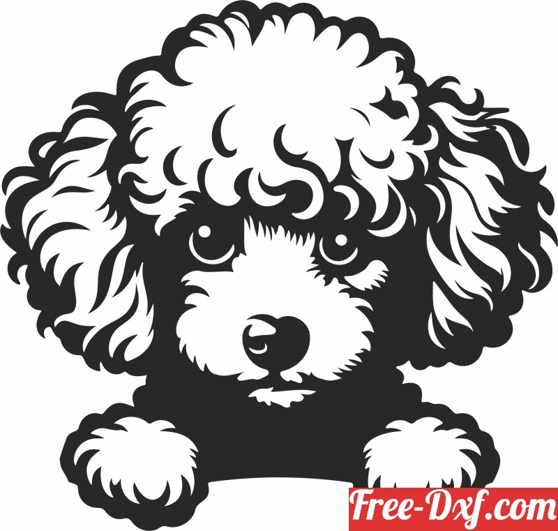 Download poodle dog clipart jKRBz High quality free Dxf files, Sv