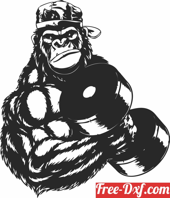 Download monkey bodybuilding wokouts clipart rsxZk High quality f