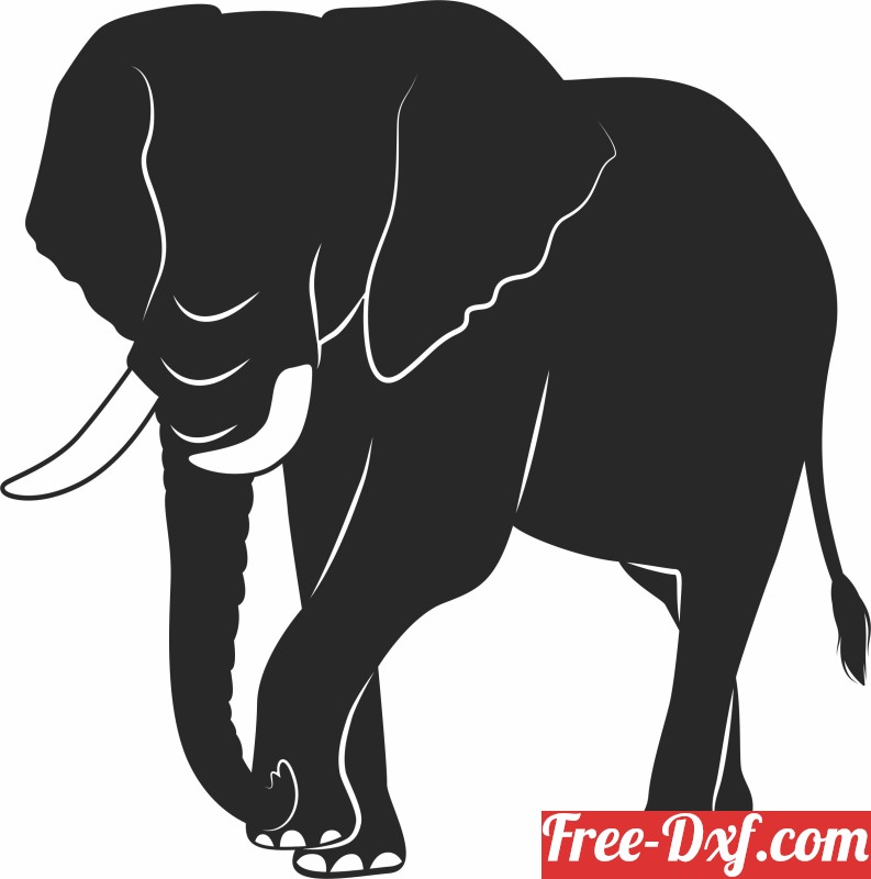 Download Black and White Elephant Graphic u84Gg High quality free